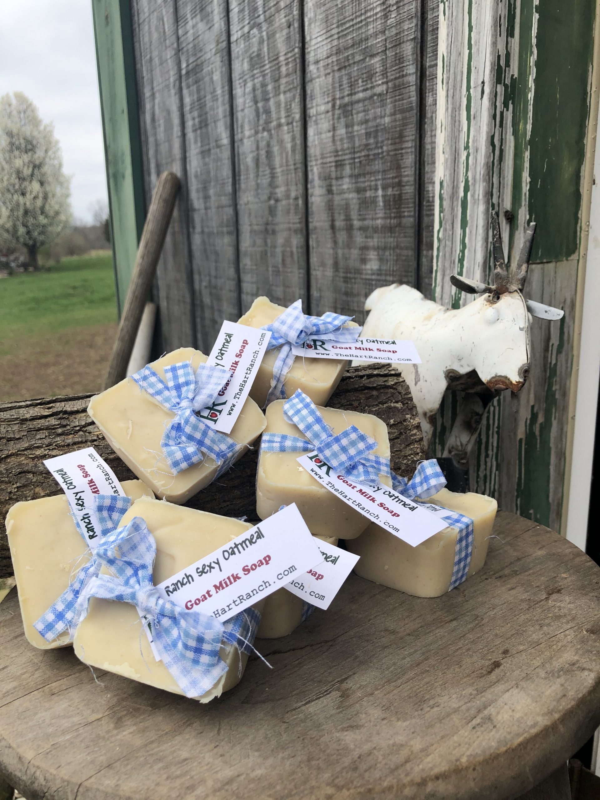 Sexy - The Hart Ranch