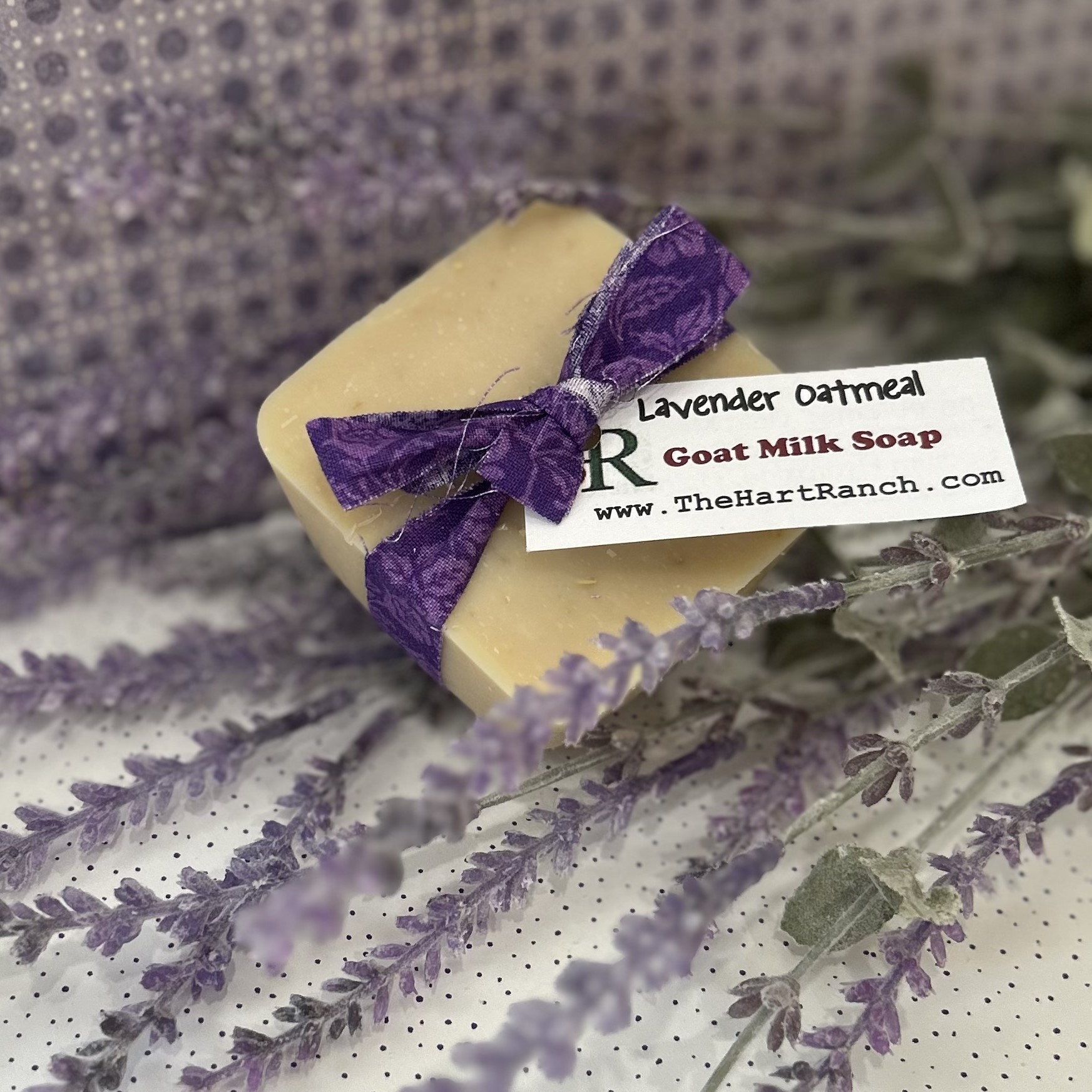 Lavender - The Hart Ranch